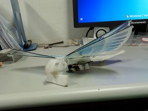 Canming Huang's Page